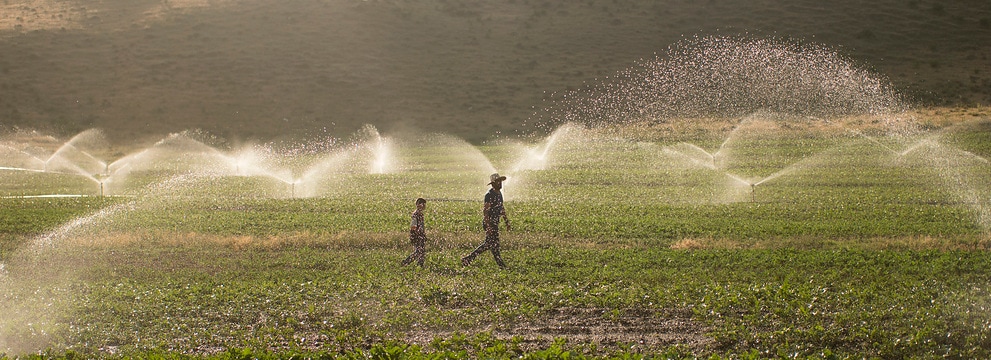 Agriculture and climate change | WILO