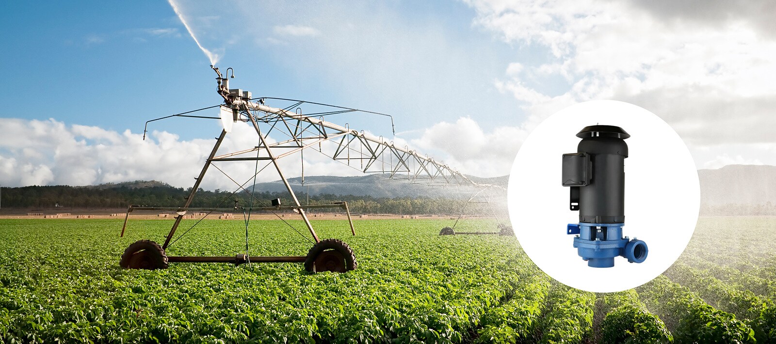 Scot Pump Centrifugal Pumps | Wilo